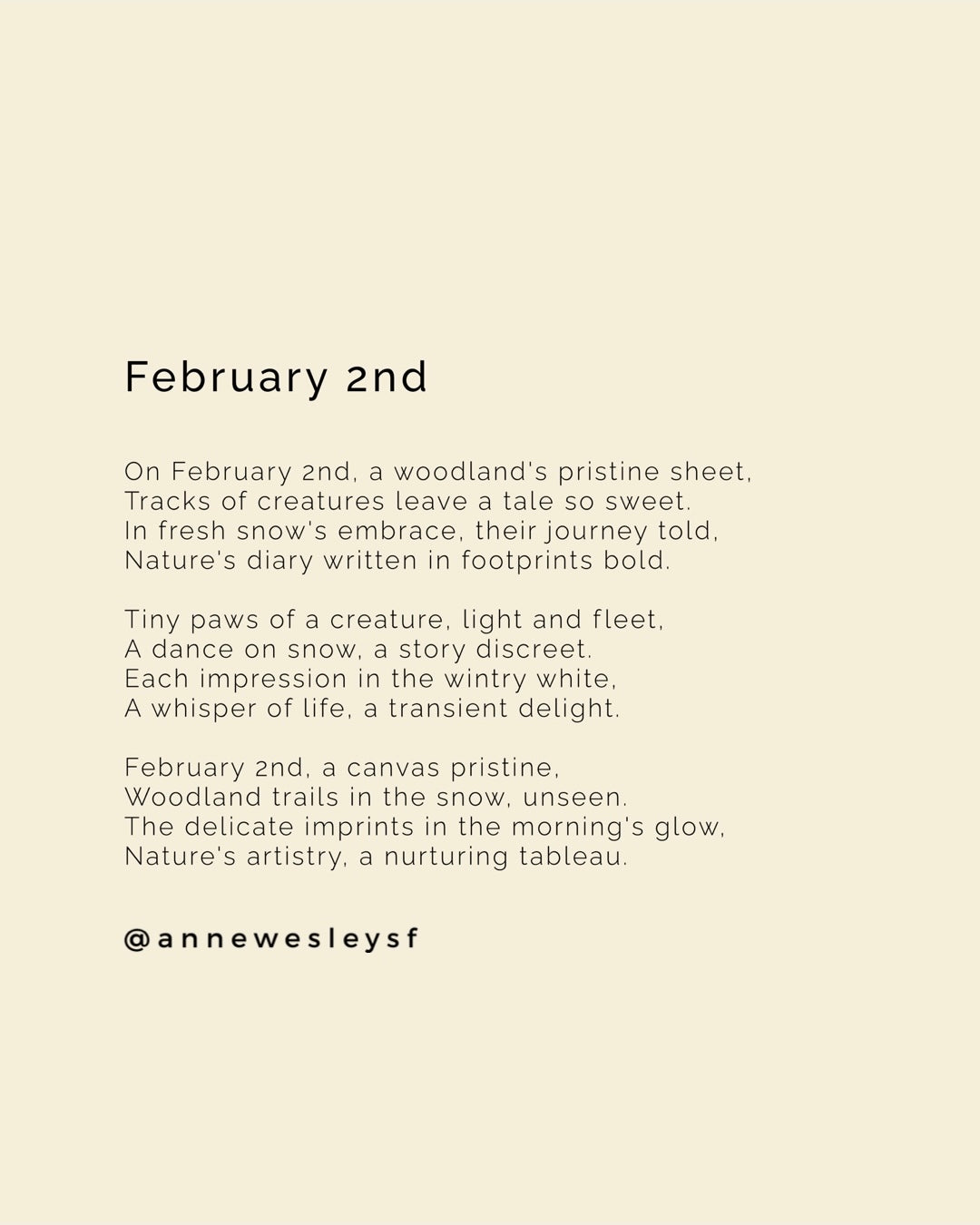 Unveiling Nature's Canvas: A Reflection on Woodland Trails in Winter ...