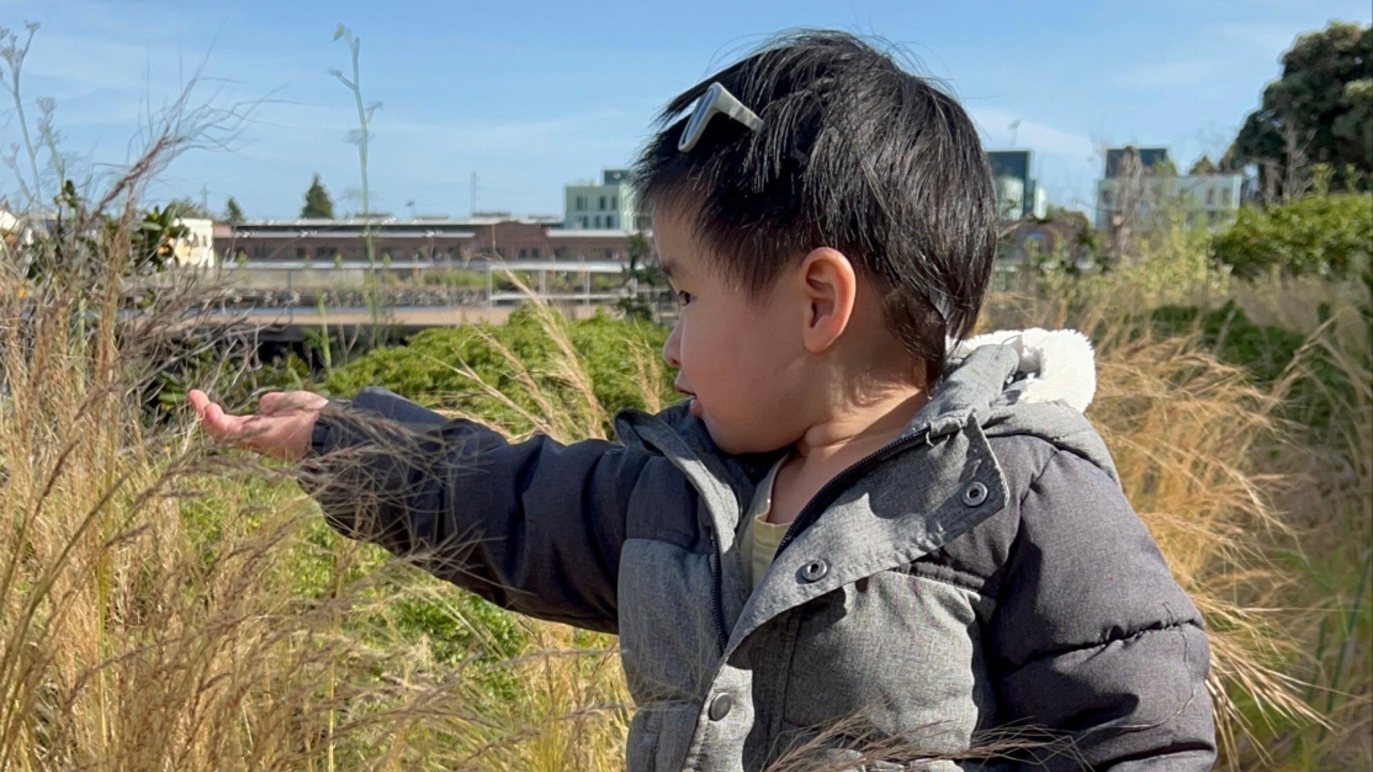Embracing the Joy of Childhood: Reconnecting with Our Inner Child for ...